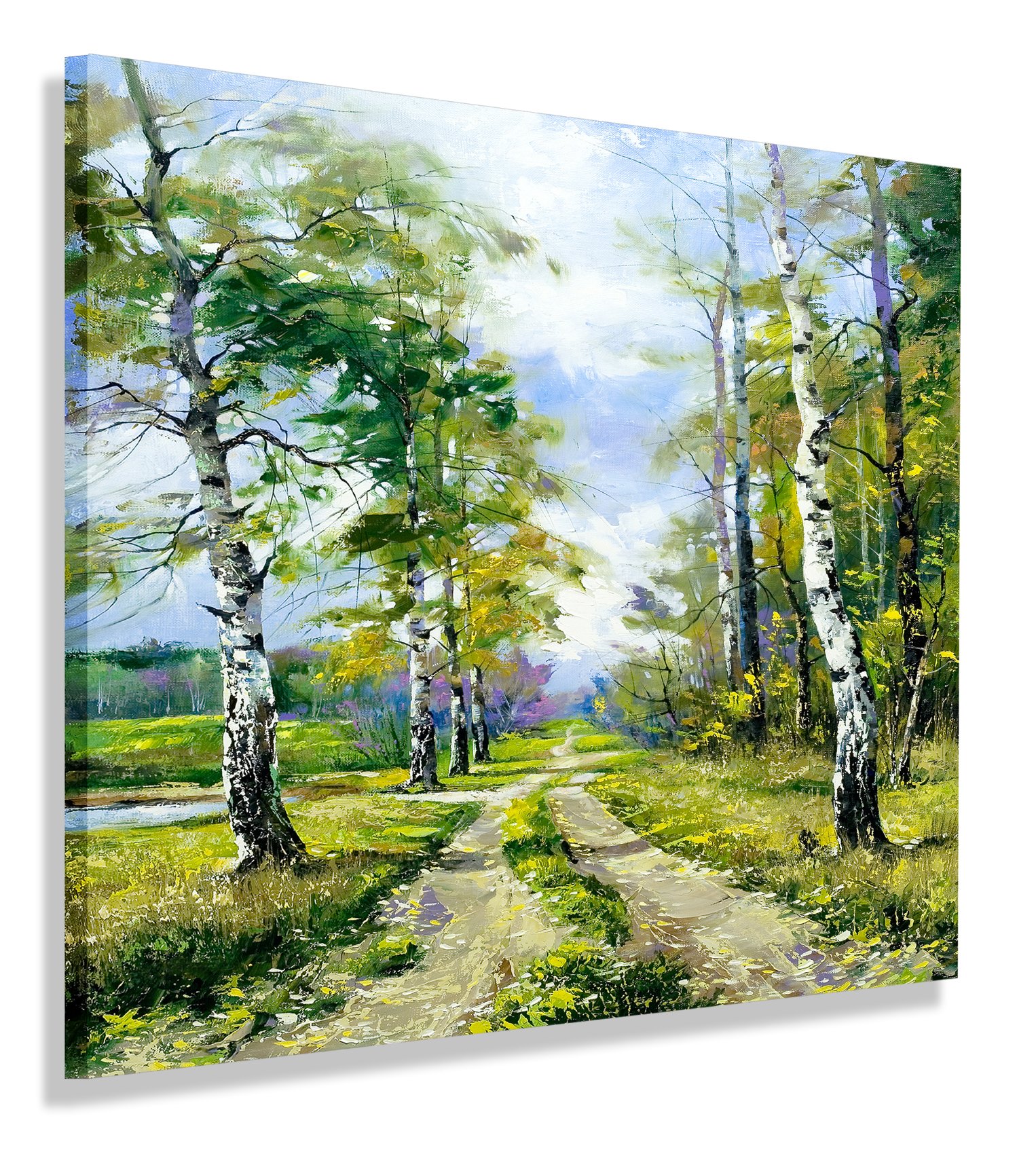 OBRAZ LAS DROGA BRZOZY OBRAZY CANVAS 50x50 • Cena, Opinie • Obrazki i ...