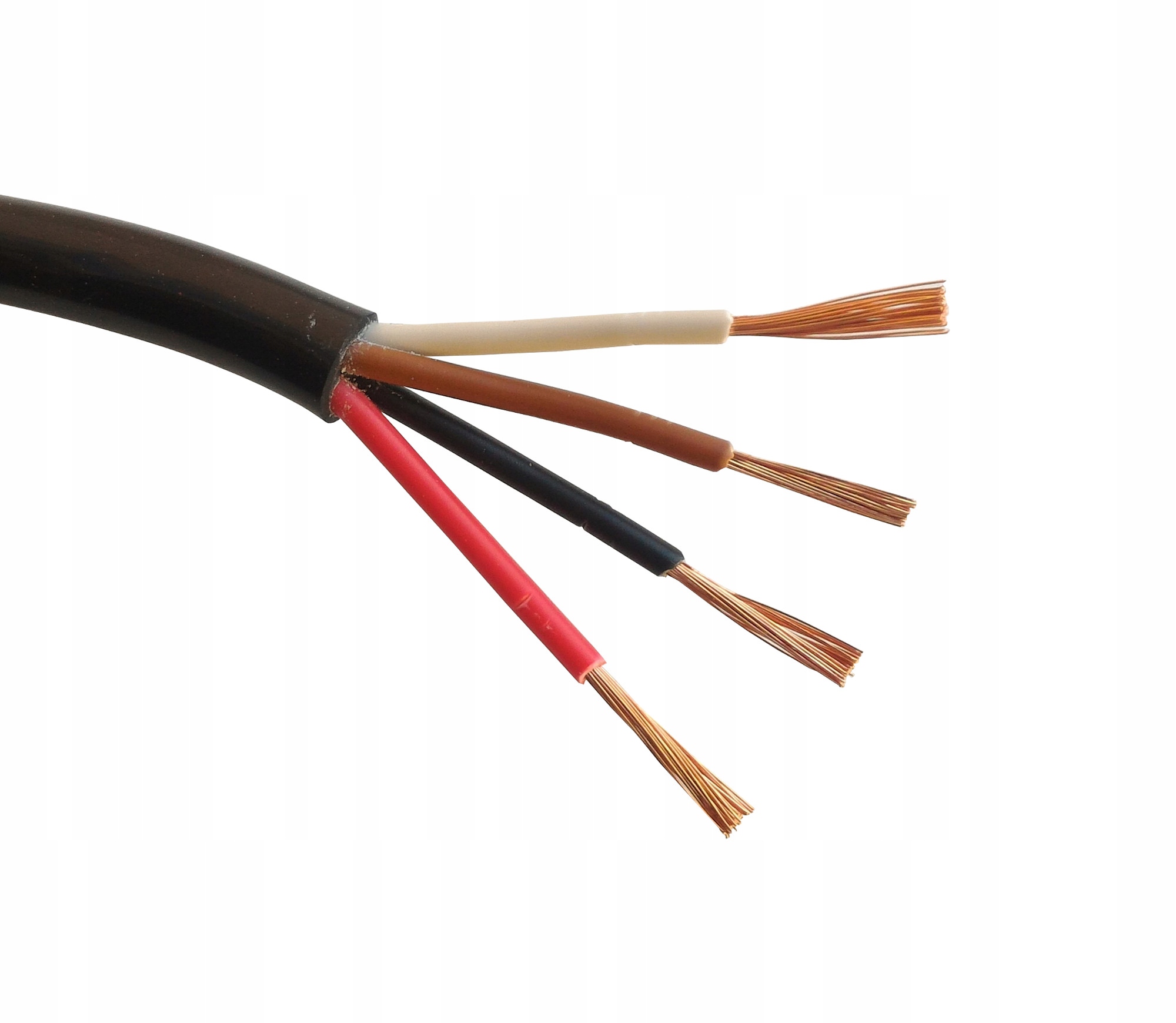 PRZEWÓD 4x1mm - KABEL 4 żyły do lamp 1,0mm2 YLY-s 3456 za 5,49 zł z ...