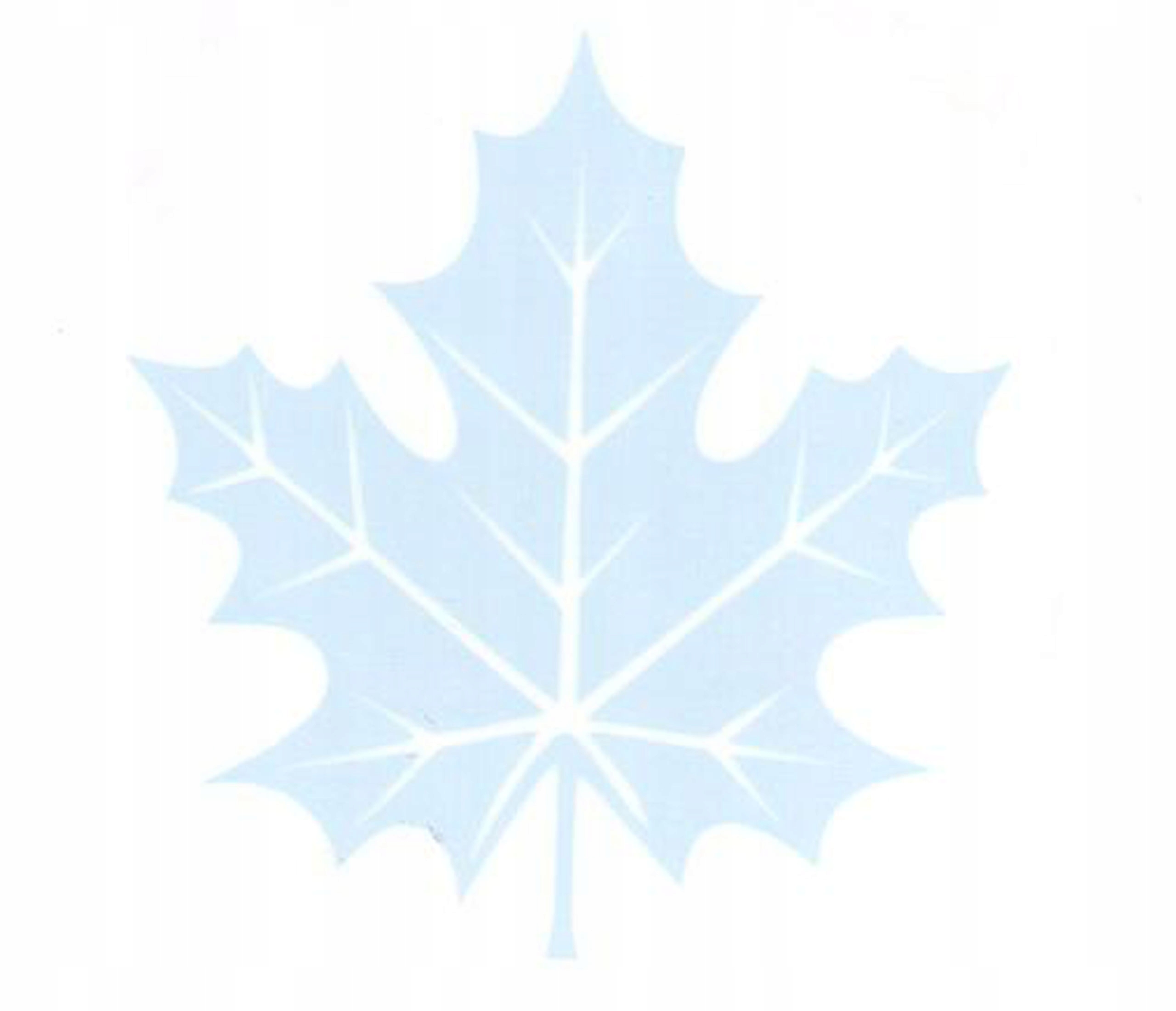 NAKLEJKA PODLEPKA LISTEK POCZĄTKUJĄCY KIEROWCA 9789133376695 za 9.10PLN ...