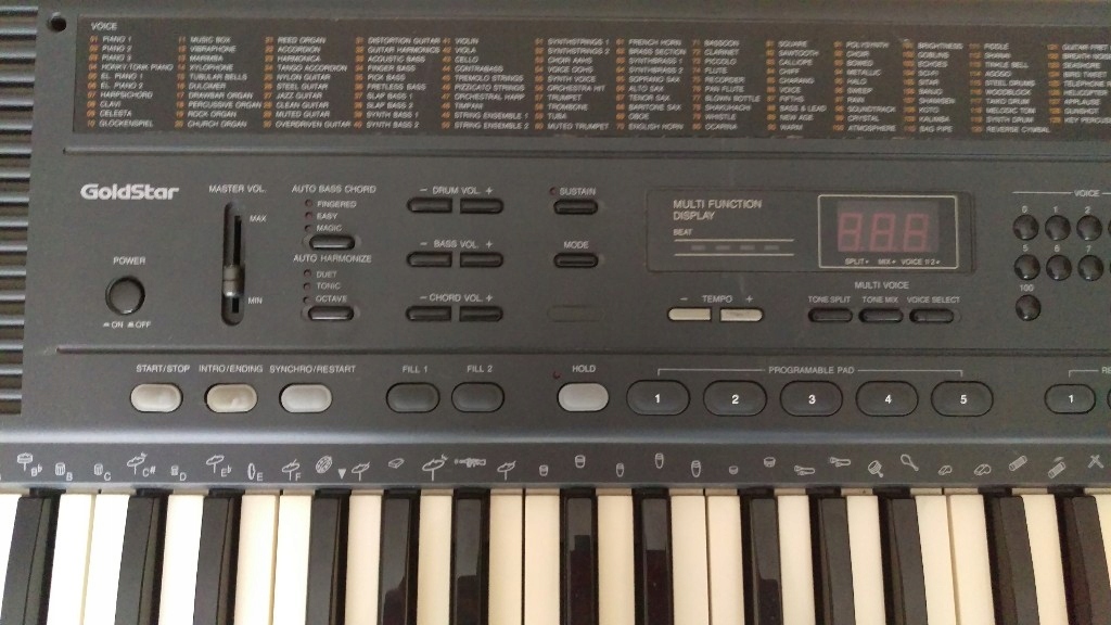 Keyboard GoldStar GEK-S230 jak Roland + stojak - 7637786684 - oficjalne ...
