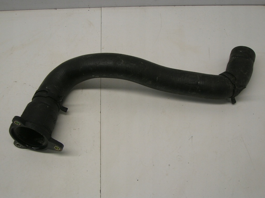 Króciec Termostatu 8200155515 RENAULT MEGANE 2 II - 7447937087 ...