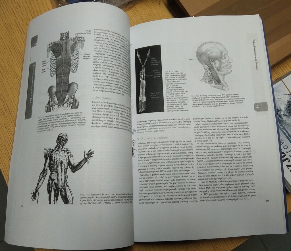TAŚMY anatomiczne. Meridiany... Thomas W. Myers - 7703537201 ... TAŚMY anatomiczne. Meridiany... Thomas W. Myers - 7703537201 ...