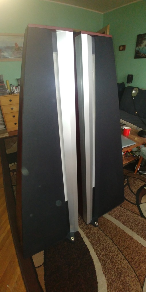 DALI SKYLINE 1000, kolumny najwyższej jakości. - 7117620739 - oficjalne ...